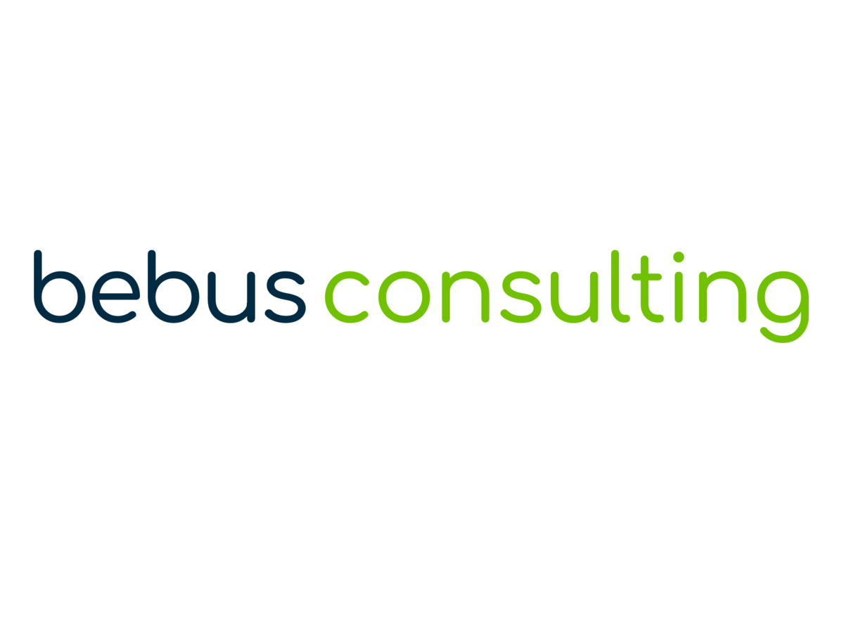 bebus-consulting-plato-partner-in-gro-britannien-plato-ag